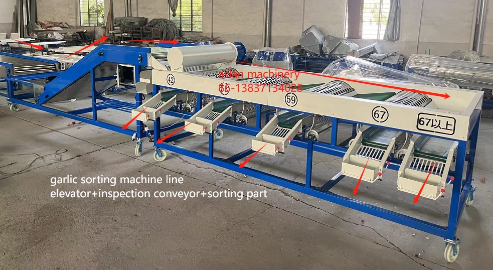 tomato garlic onion size grading machine - Buy garlic onion grading ...